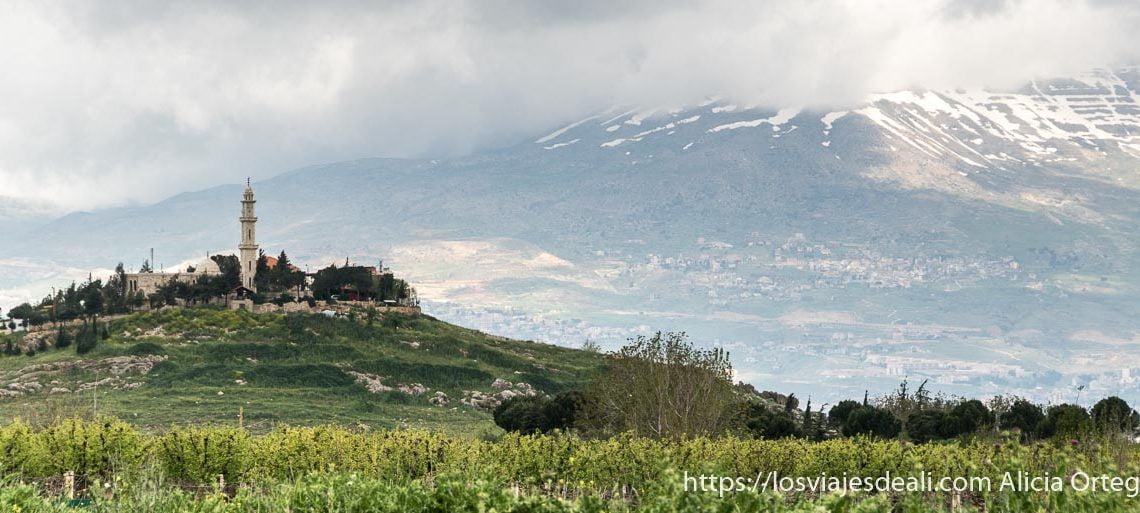 Valle de Bekaa, el granero de Líbano | Los Viajes de Ali