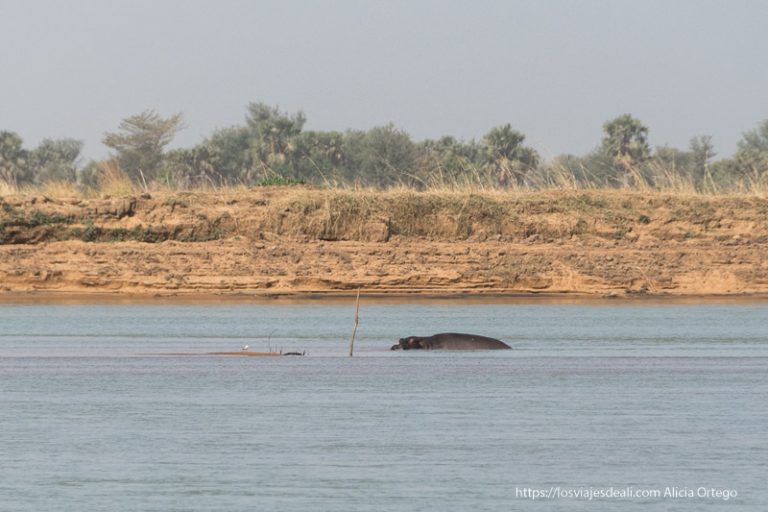 El valle del río Logone, tierra fronteriza entre Chad y Camerún
