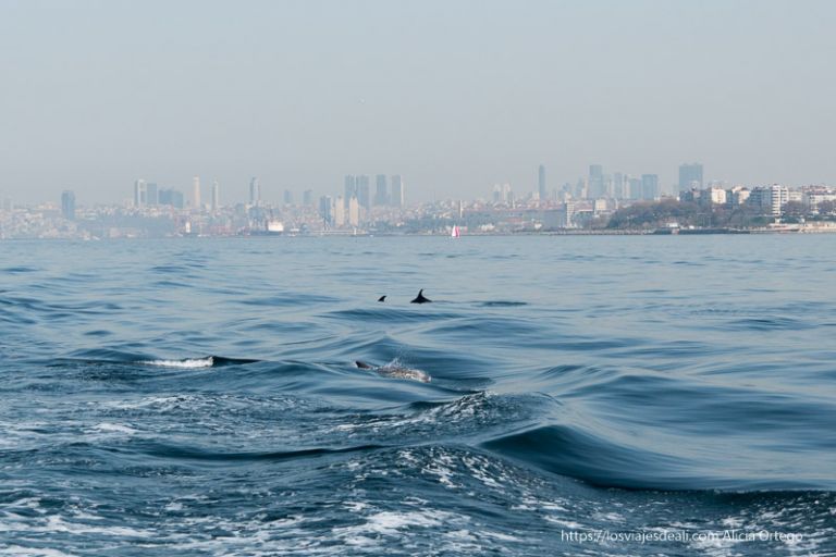 Excursión a las Islas Príncipe desde Estambul: todo lo que necesitas saber