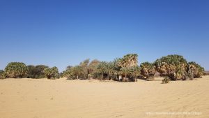📍 Ciudades de Chad, una vuelta por el lado urbano del país