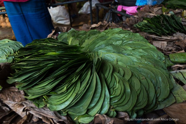 2 días en Tangalle: las playas salvajes del sur de Sri Lanka