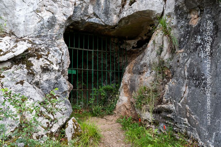 🚩 Cómo visitar las cuevas de Monte Castillo (Cantabria)