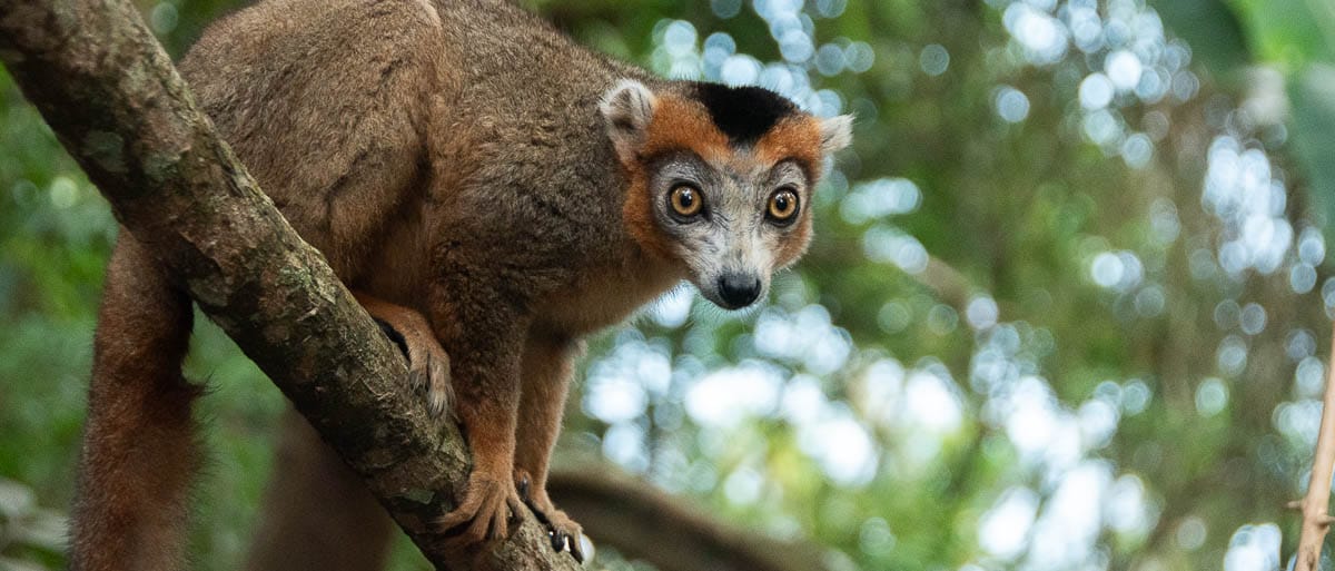 17 sitios fabulosos que ver en Madagascar para sorprenderse